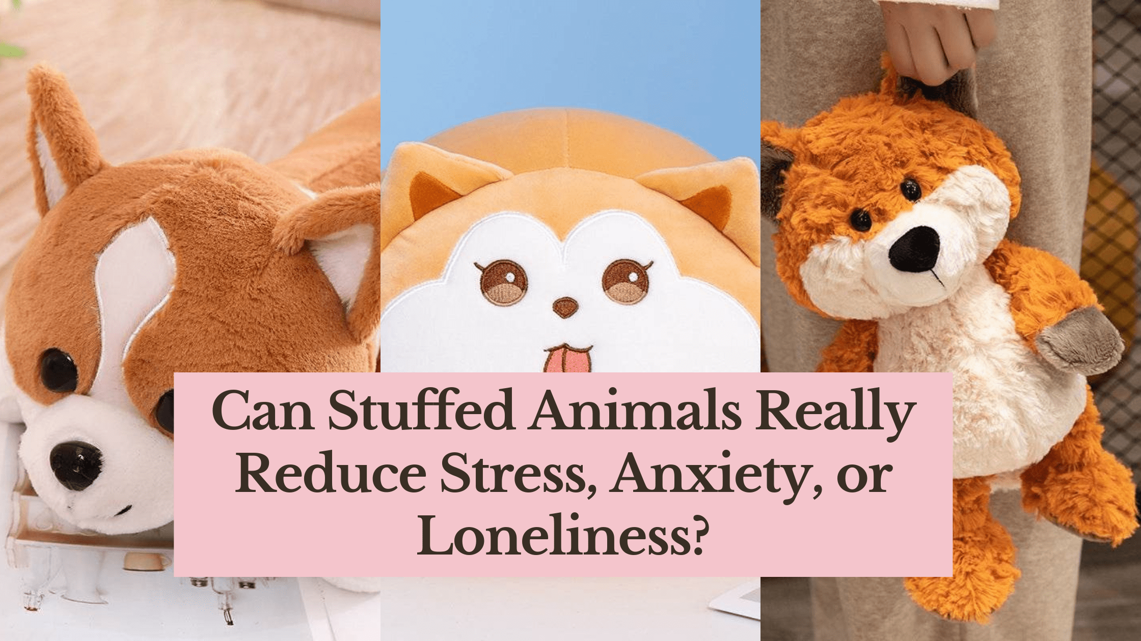 Can Stuffed Animals Really Reduce Stress, Anxiety, or Loneliness ...