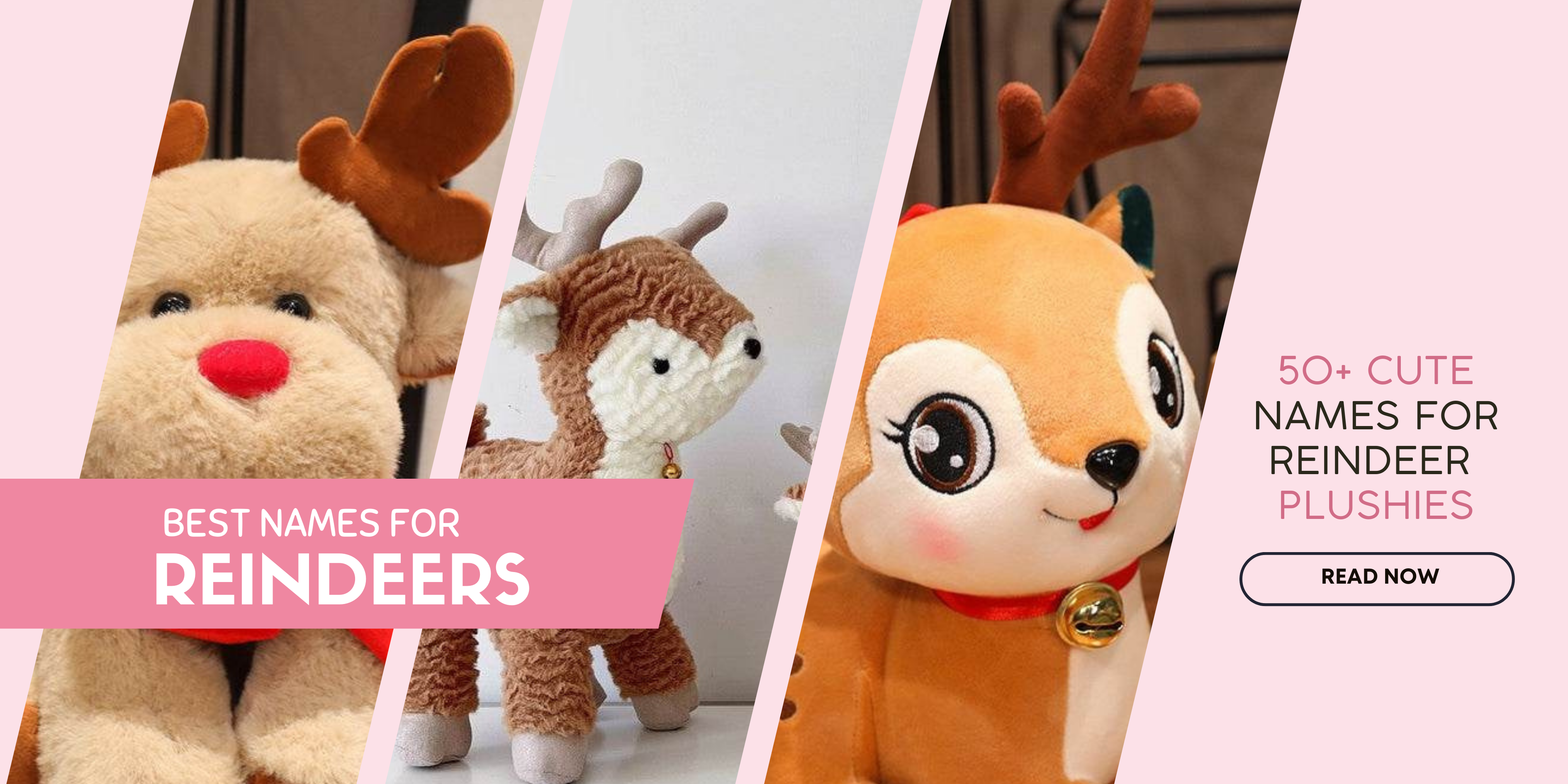 50+ Cute & Creative Names for Your Reindeer Plushies (With Meanings ...
