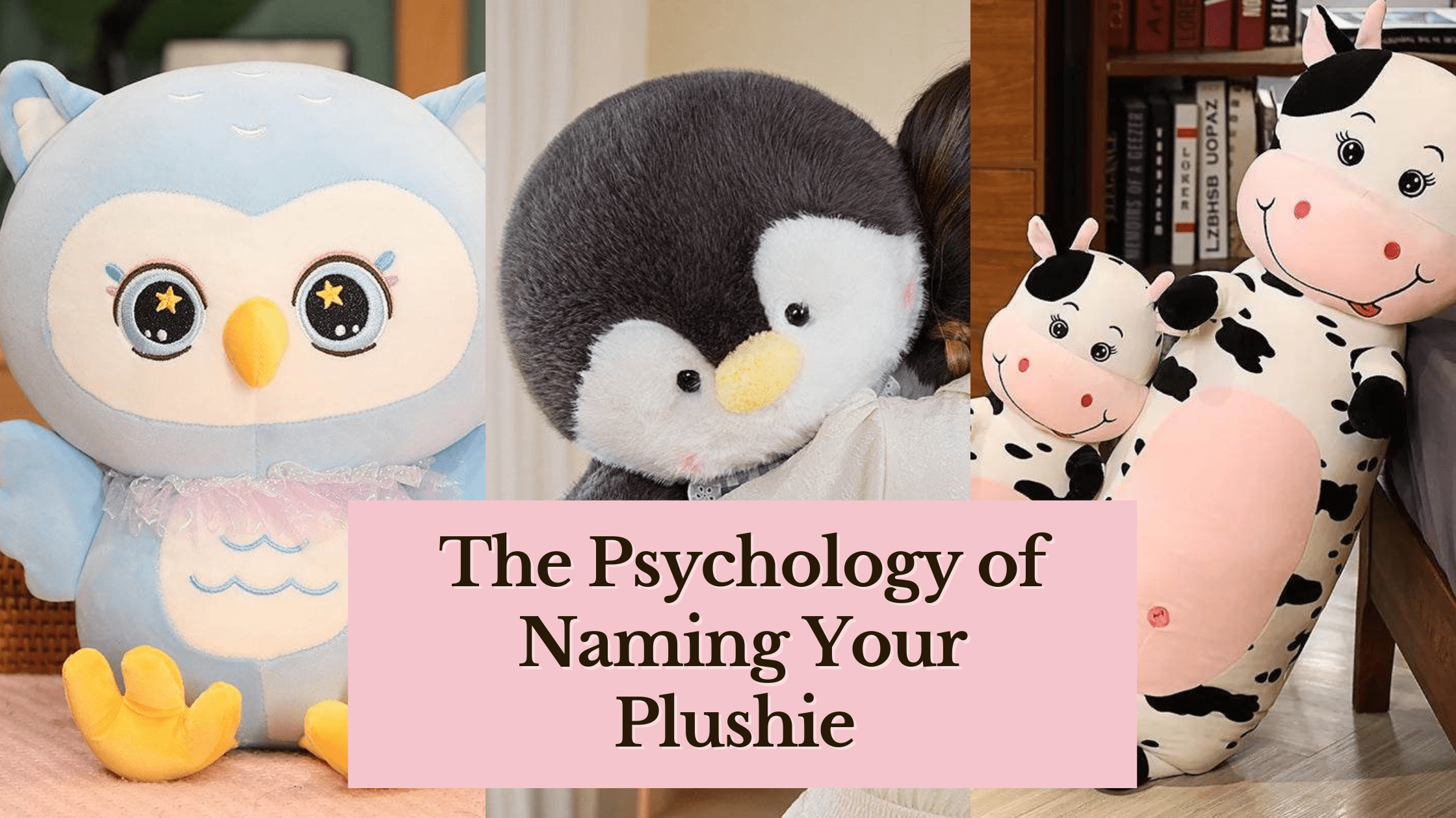 The Psychology of Naming Your Plushie | Plushies That Deserve Names ...