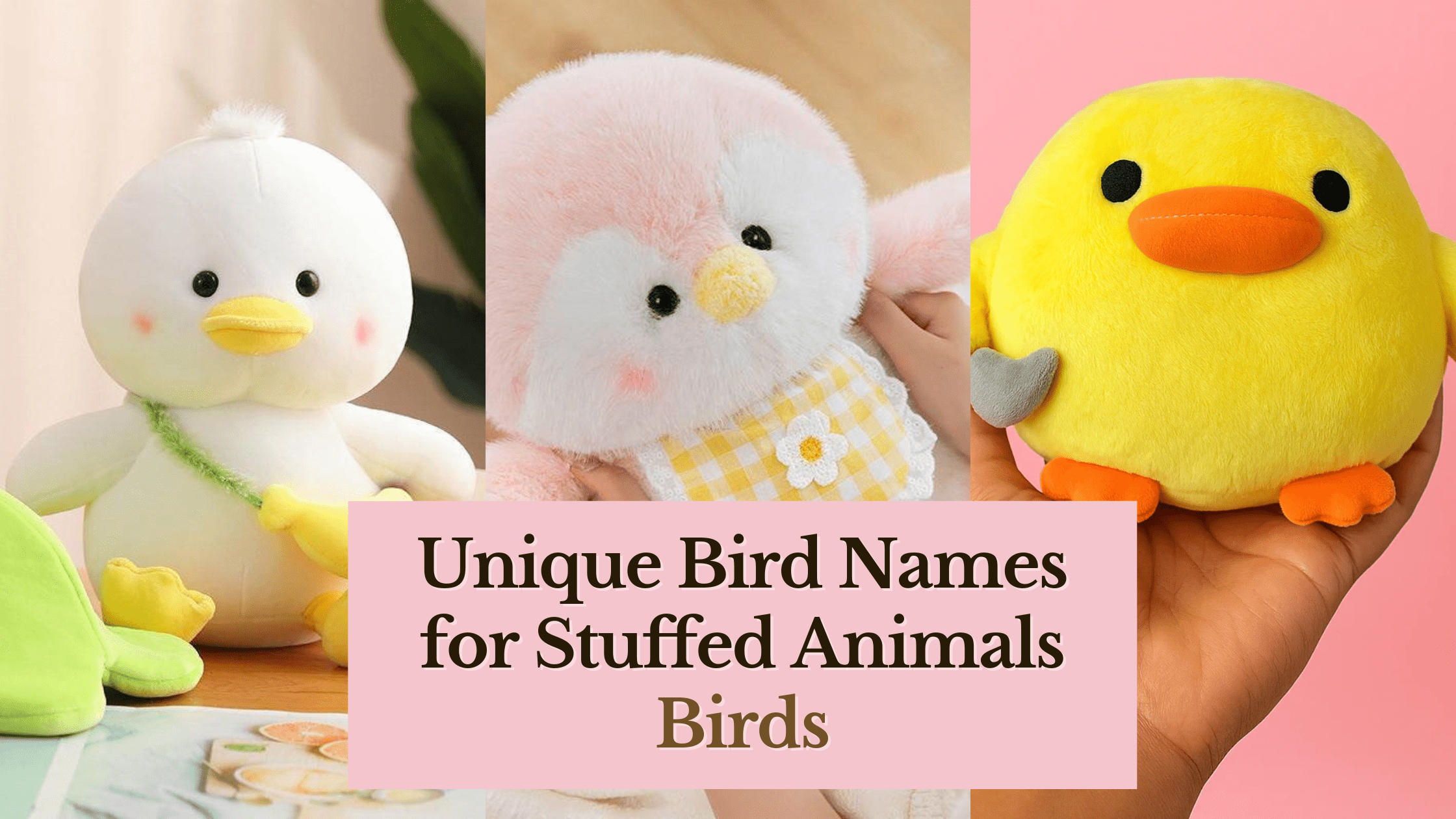 Unique Bird Names for Stuffed Animals and Plushies | Bird Names ...