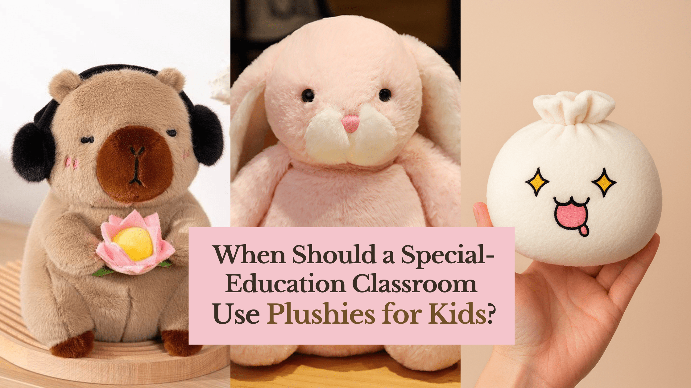 When Should Special-Education Classrooms Use Plush Toys? – Goodlifebean