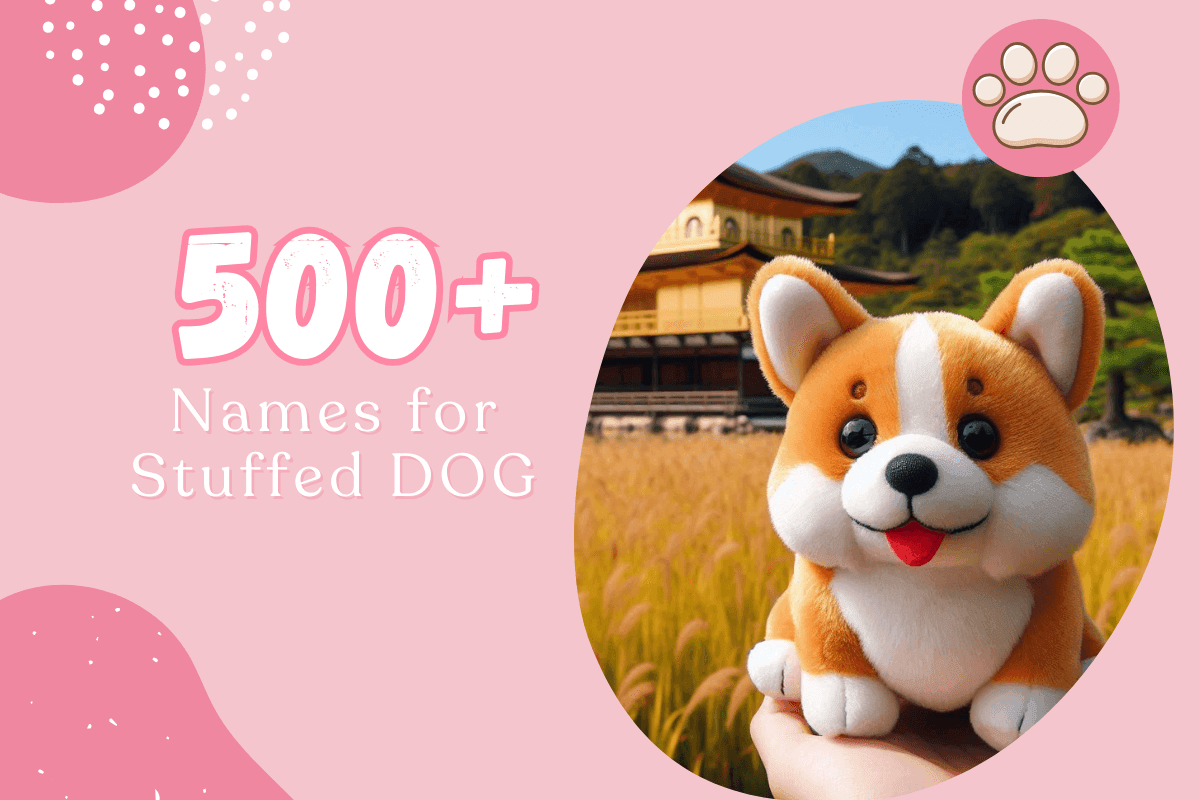500+ Adorable Names for Your Stuffed Dog Plushies | Cute Dog Names ...