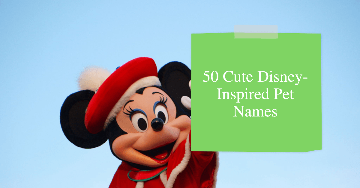 50 Disney-Inspired Pet Names: Dog and Cat Names for Your Furry Friend ...